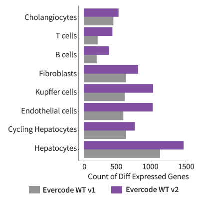 Evercode Whole Transcriptome v2 Dataset for Mouse Liver Nuclei