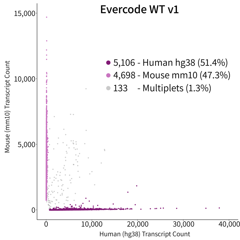 Evercode Whole Transcriptome v2 Dataset for Cell Lines