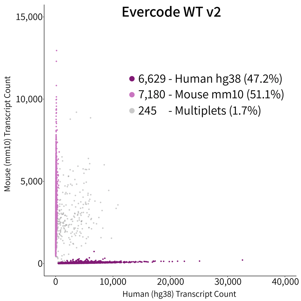 Evercode Whole Transcriptome v2 Dataset for Cell Lines