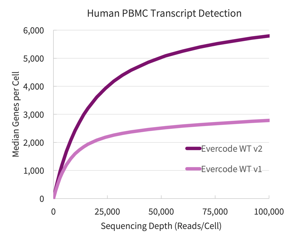 Evercode Whole Transcriptome v2 Dataset for Human PBMCs
