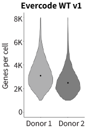 Evercode Whole Transcriptome v2 Dataset for Mouse Brain Nuclei
