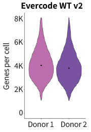 Evercode Whole Transcriptome v2 Dataset for Mouse Brain Nuclei