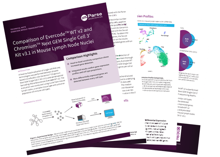 Tech Note: Evercode vs. Chromium in Mouse Lymph Node Nuclei