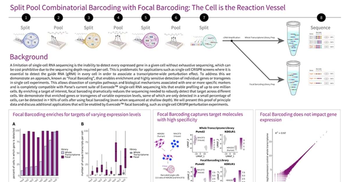 Poster: Single-Cell Transcriptomes with Gene or Vector-Enriched Readouts
