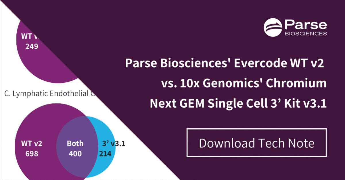 Tech Note: Evercode vs. Chromium in Mouse Lymph Node Nuclei
